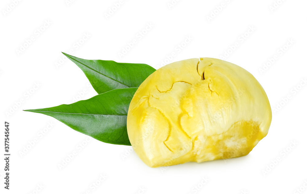 durian tropical fruit with green leaves isolated on white background ...