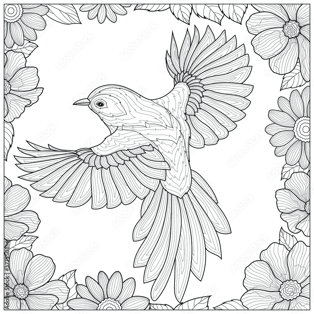 Bird in a frame with flowers.Coloring book antistress for children and ...