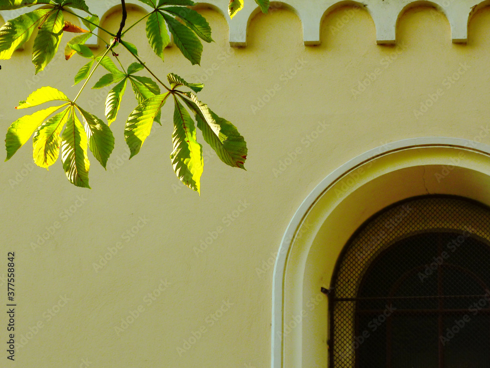 Arched church window detail in yellow stucco elevationwith autumn color ...