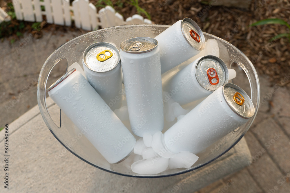 White Hard Seltzer Beverage Cans in Clear Ice Bucket Backyard High ...