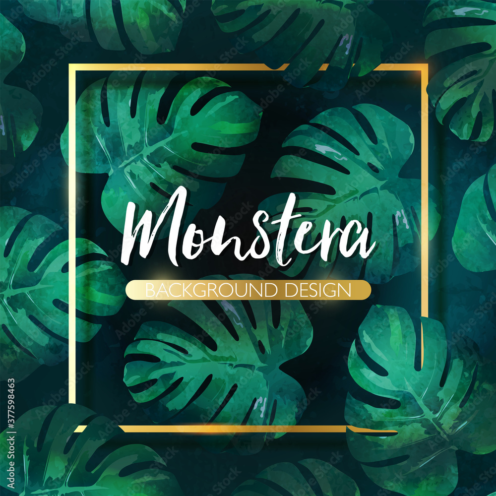 Monstera leaves background with golden frame in square composition ...