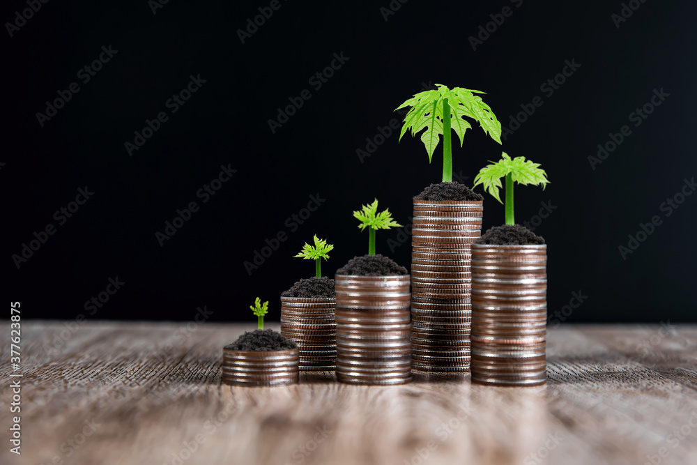 Pile of coins is stacked in a graph shape with sapling of a growing ...