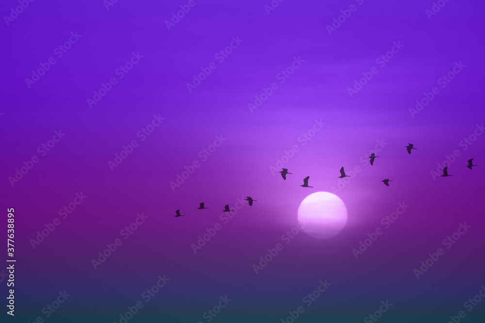 Purple Flying Birds