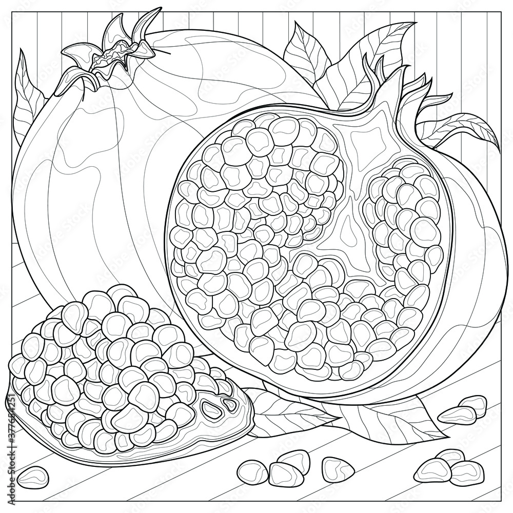 Pomegranate Coloring Page