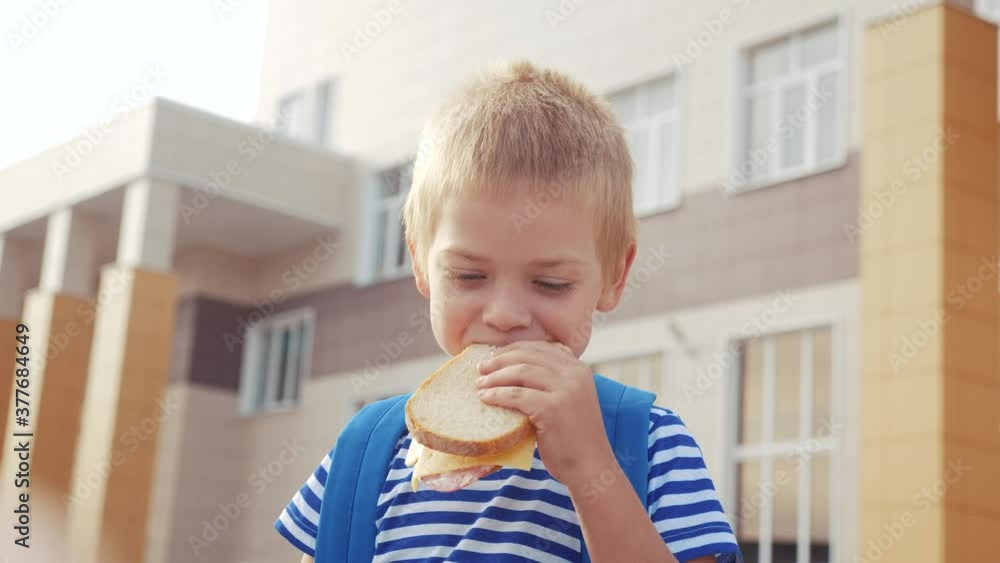 Vidéo Stock schoolboy eating a sandwich during recess in school. kids ...
