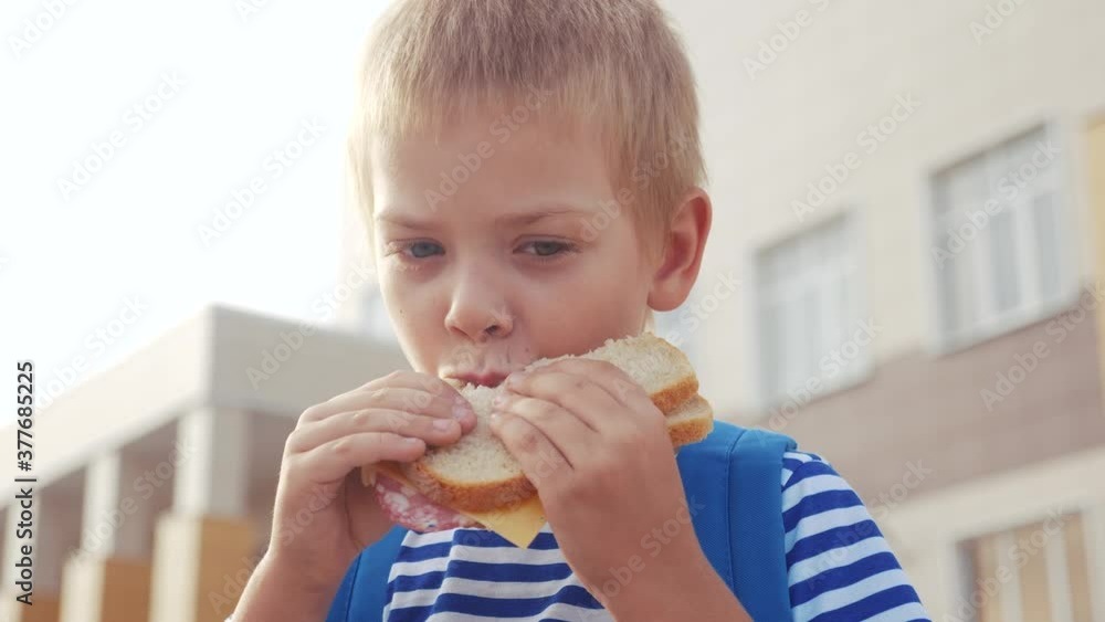 schoolboy eating a sandwich during recess in school. kids education ...