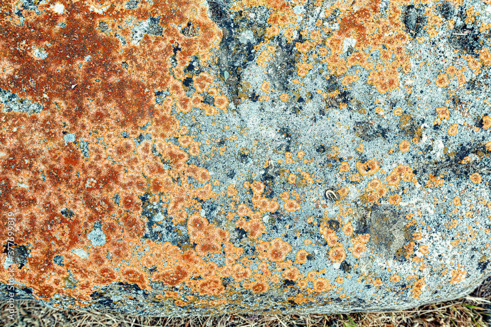 Stone tiles wall texture antique rock texture history construction ...