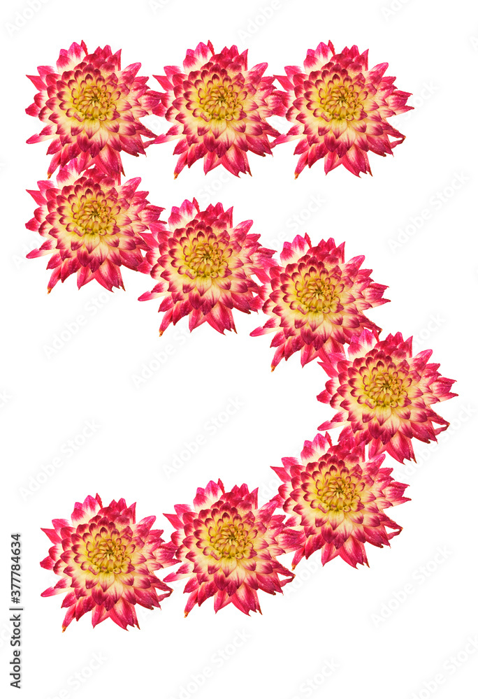 number 1, 2,3, 4, 5, 6, 7, 8, 9 were formed by using dahlia blossoms on ...