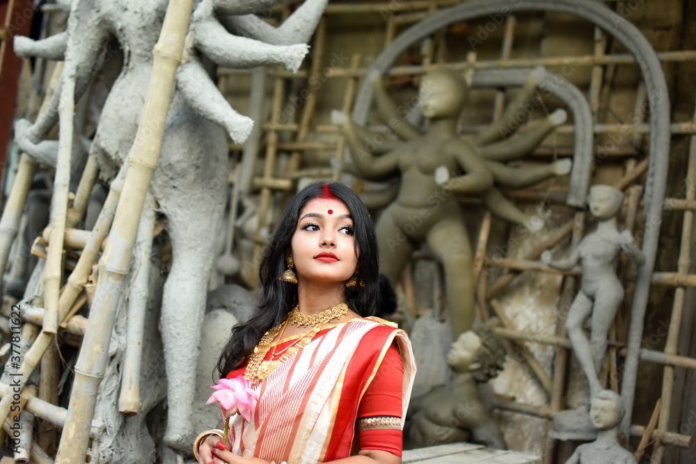 Portrait of stunning Indian woman draped in traditional saree adorned ...