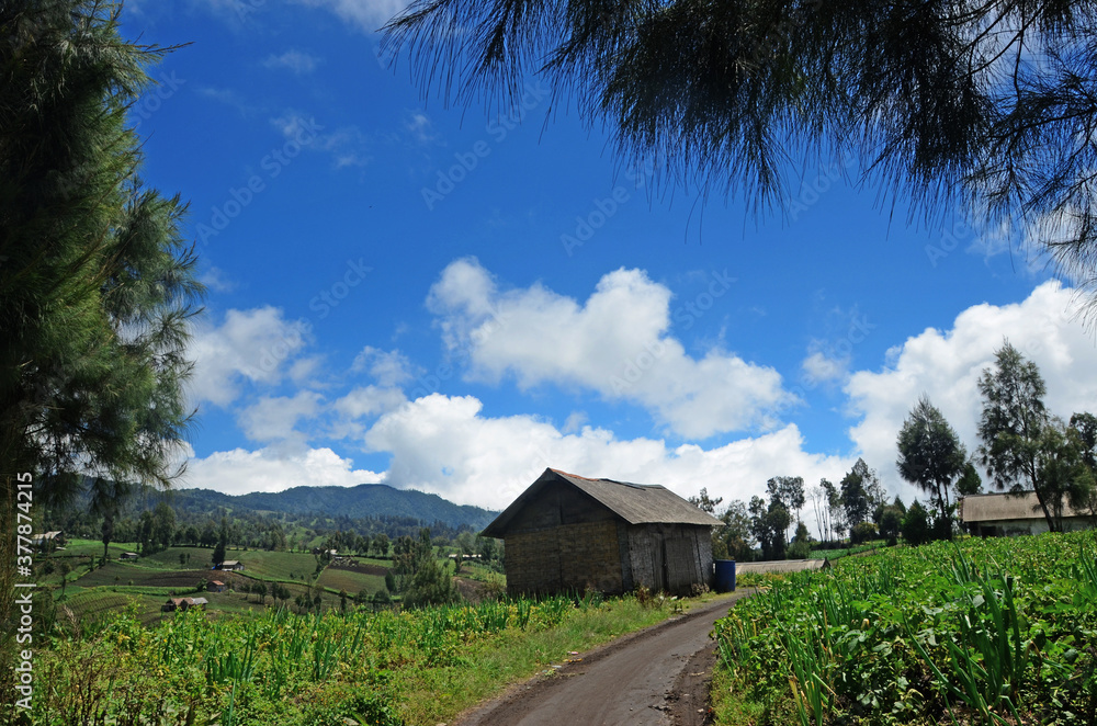 The houses of residents in Ranu Pani Village, the arena of Mount Semeru ...