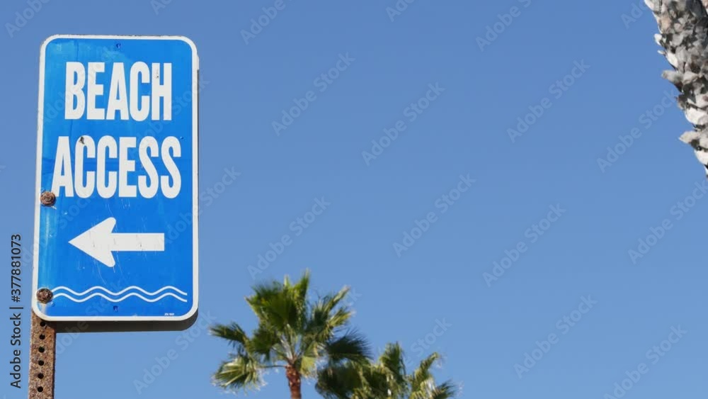 Video „Beach sign and palms in sunny California, USA. Palm trees and ...