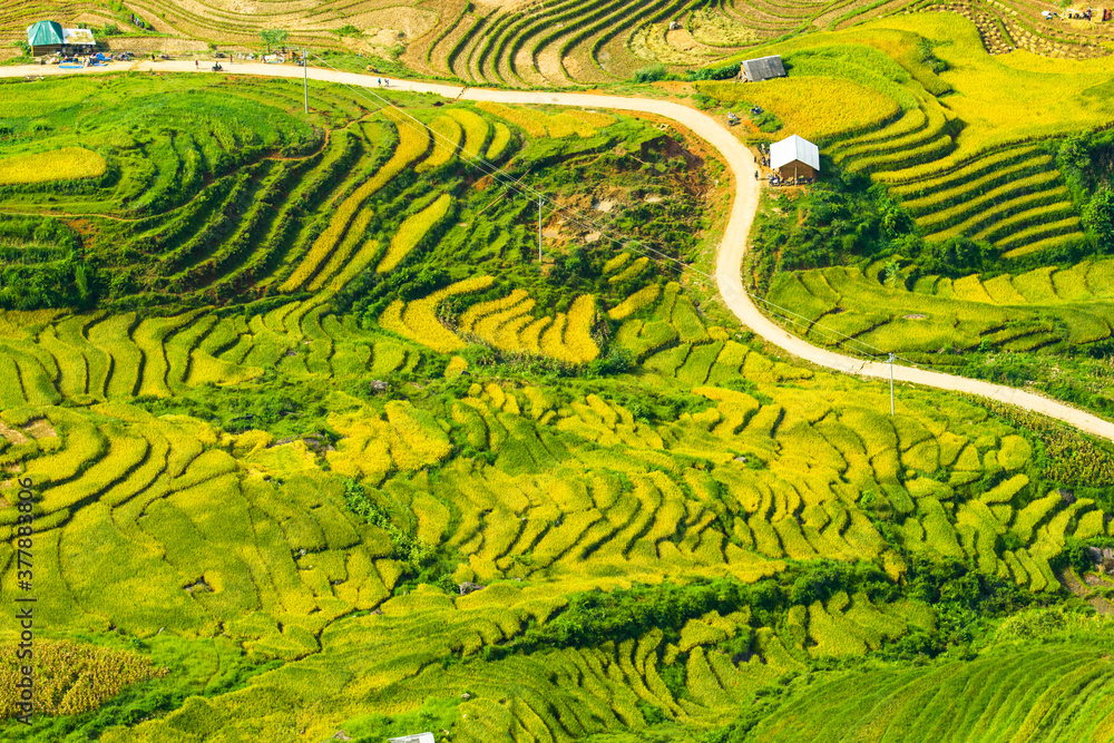 Amazing Rice fields on terraced in rainny seasont at TU LE Valley ...