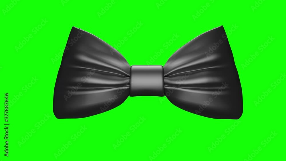 Animated bow tie. Looped animation on a green background. 4k video ...