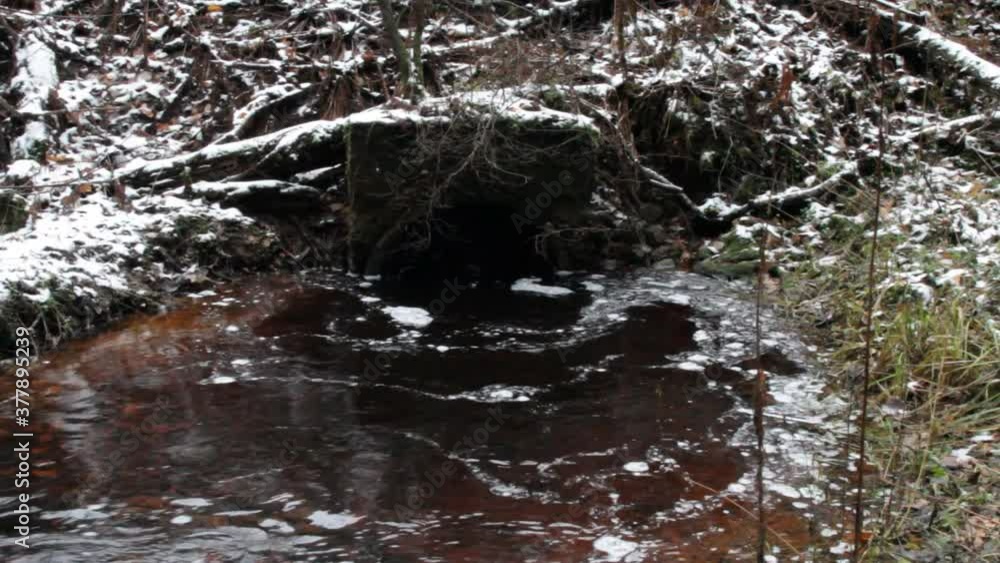 Black peat water flows out of the drainage pipe. Northern forest swamp ...