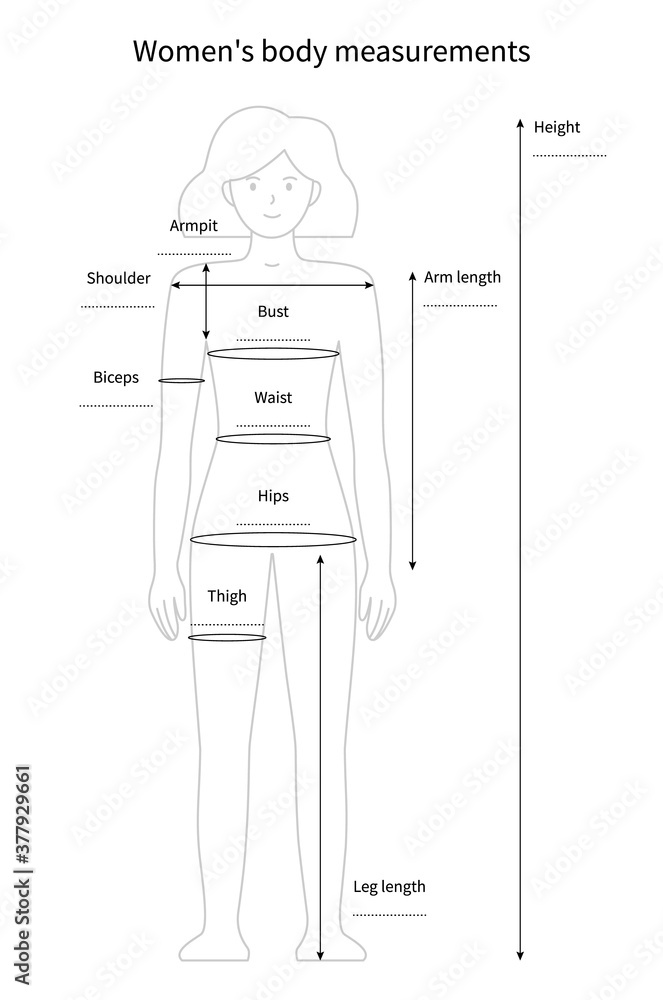 Measurements of the female body for the fashion industry, tailoring or ...