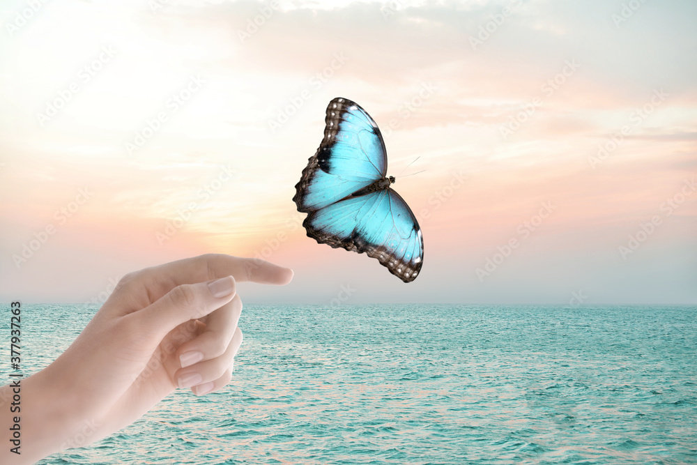 Blue Butterfly Flying Away