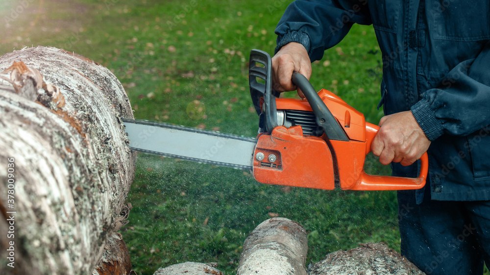 Chainsaw. Close-up of a chain saw cutter in motion, sawdust flying ...