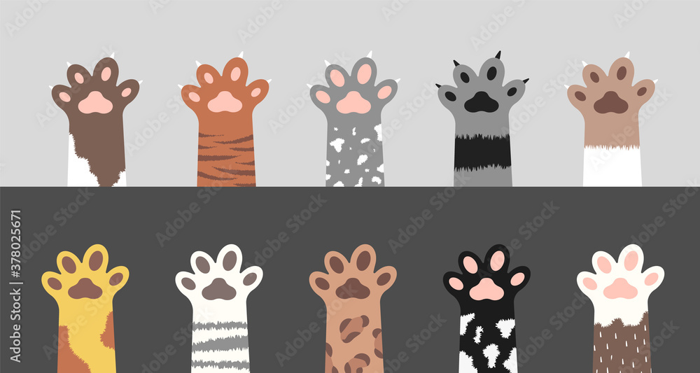 Fluffy cat paws collection. Set of various cute kitten foot silhouettes ...