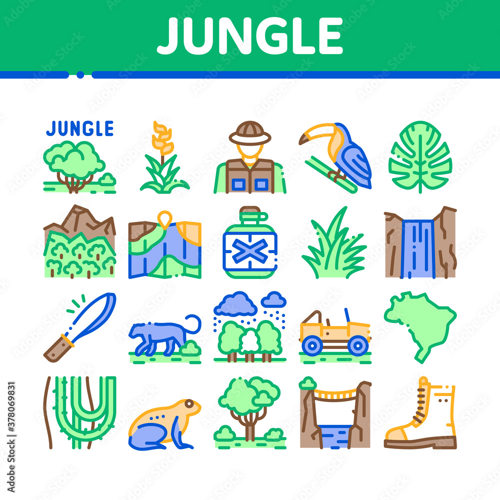 Jungle Tropical Forest Collection Icons Set Vector. Jungle Tree And ...