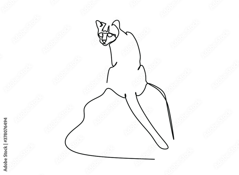 The margay (Leopardus wiedii) Continuous one line drawing. Vector ...