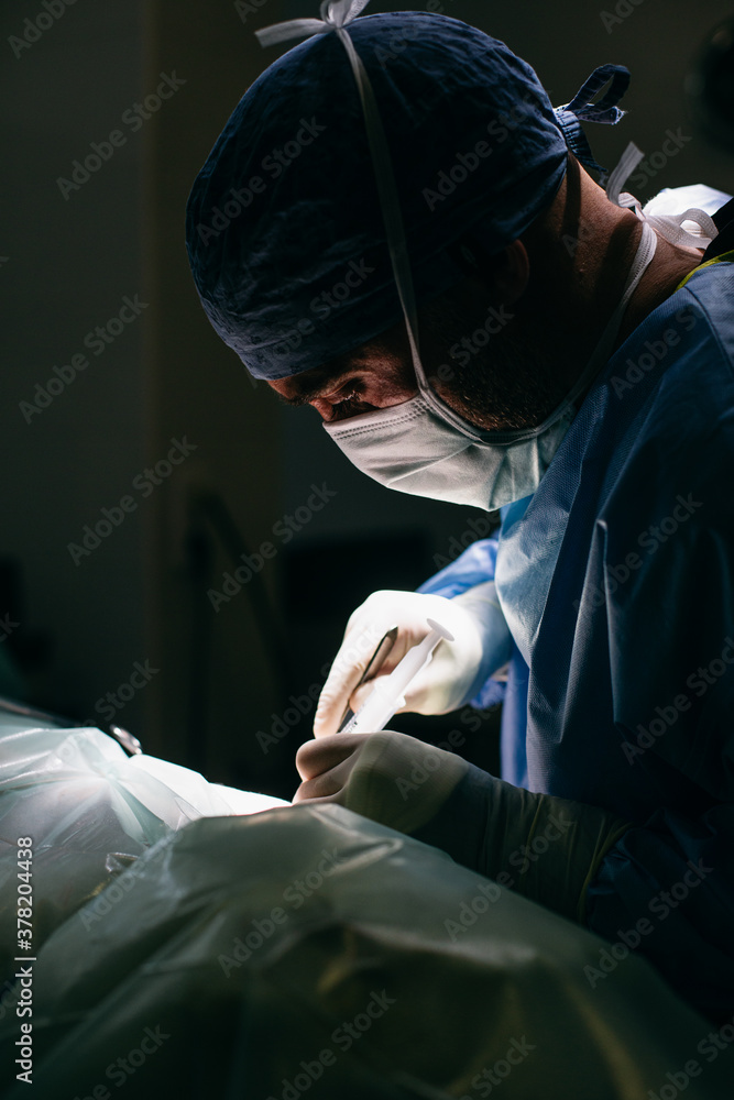 Male vet making incision during surgery Stock Photo | Adobe Stock