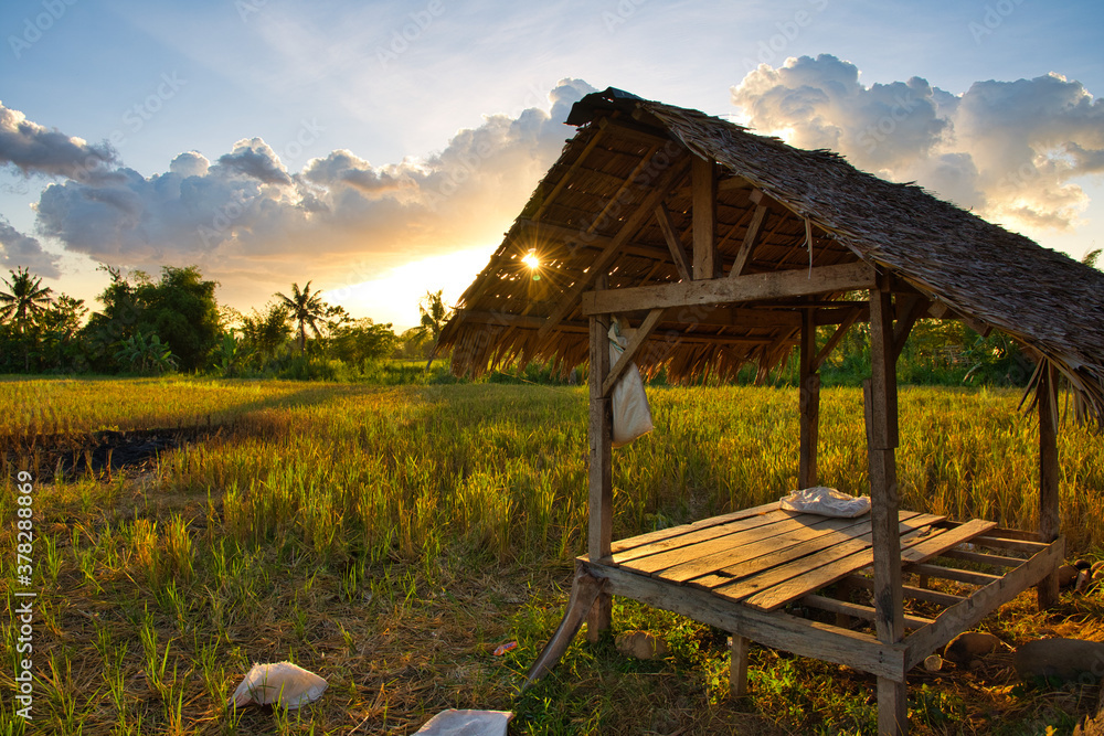 Filipino Farmer Hut at a Rice Field at Sunset time Stock Photo | Adobe Stock