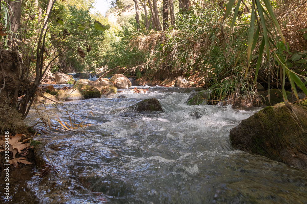 The bed of the swift mountainous Hermon River with crystal clear waters ...