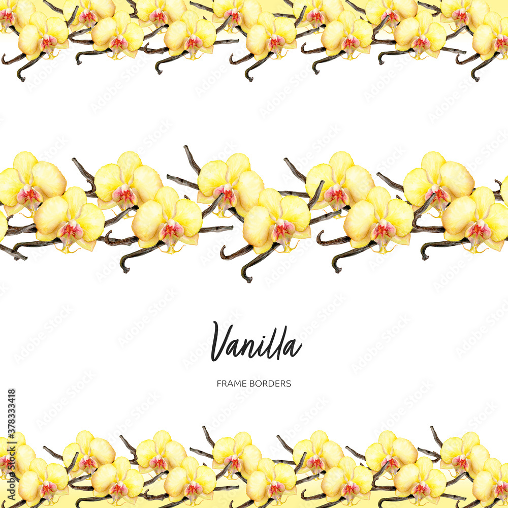 Vanilla flowers and sticks border composition watercolor hand drawn ...