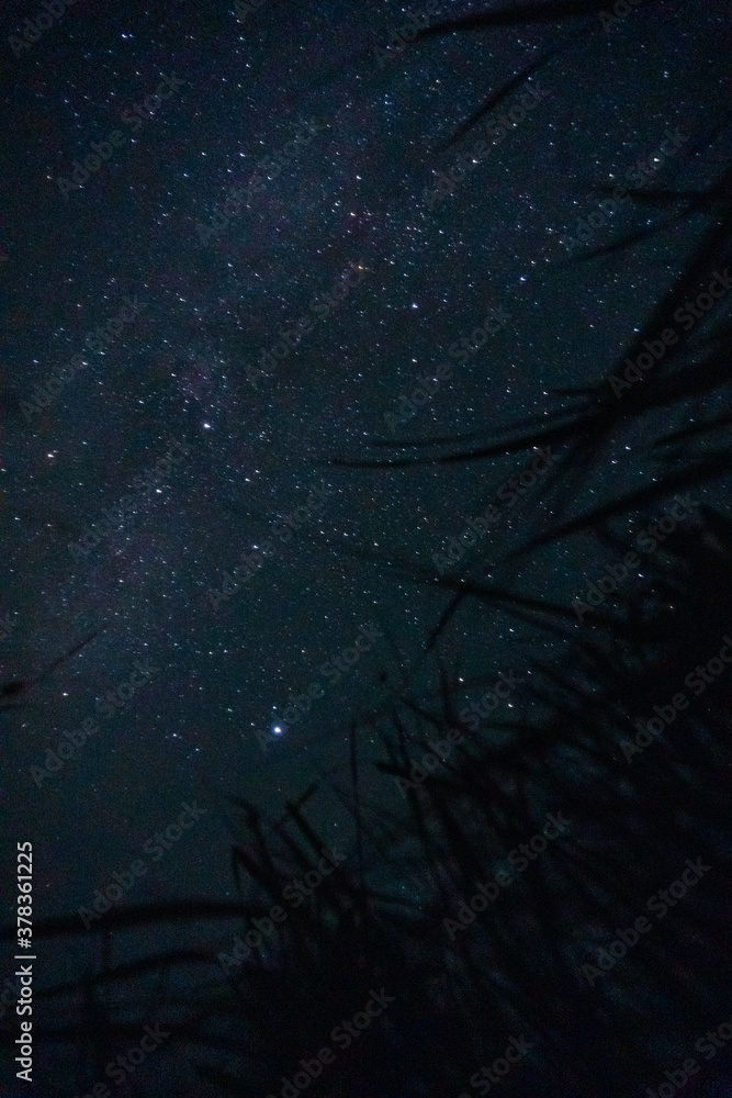 scattering of stars in the night sky Stock Photo | Adobe Stock
