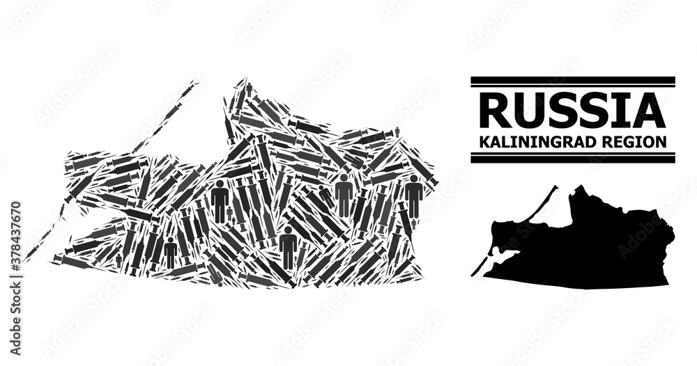 Virus therapy mosaic and solid map of Kaliningrad Region. Vector map of ...