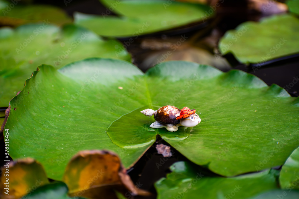 Small turtle figurine on lily pad from lotus flower pond at Bukhansan ...