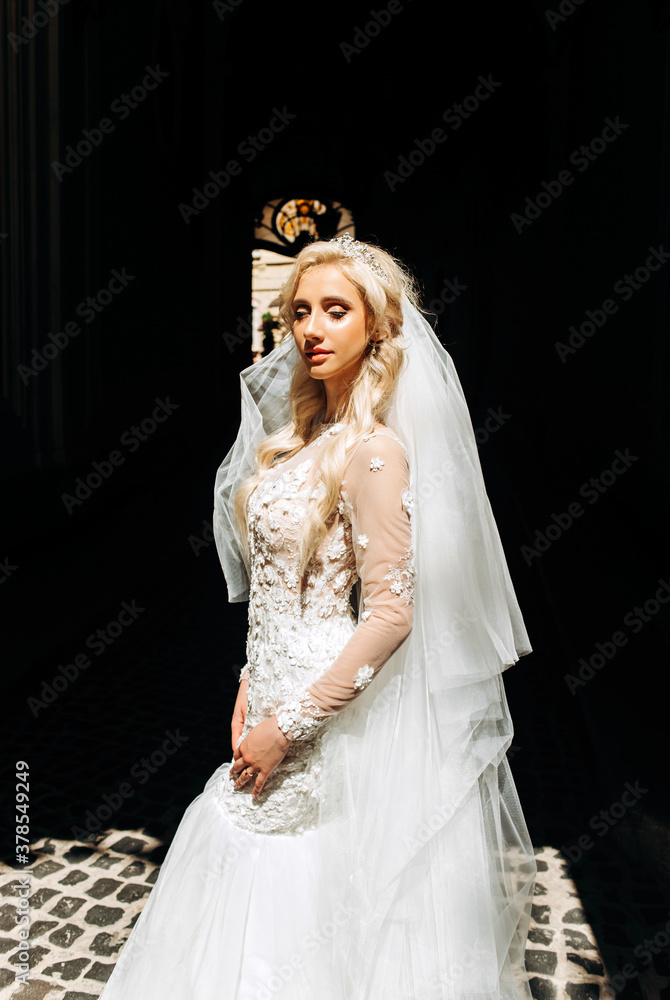 Beautiful white-haired bride in an elegant dress posing in a city ...