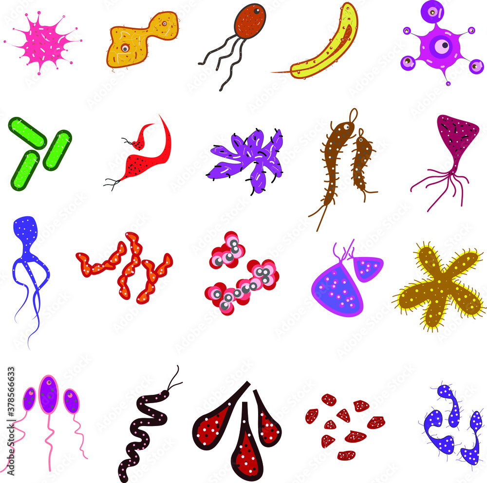 Vector - Germs set. Colorful flu virus cells biological microbes amoeba ...