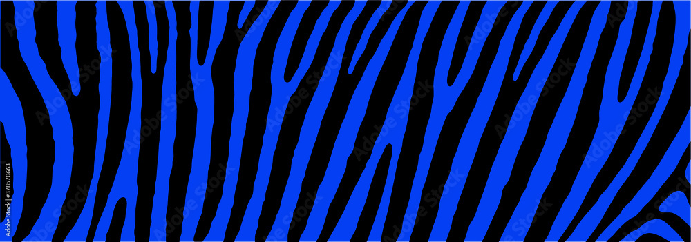 Blue Zebra Stripes