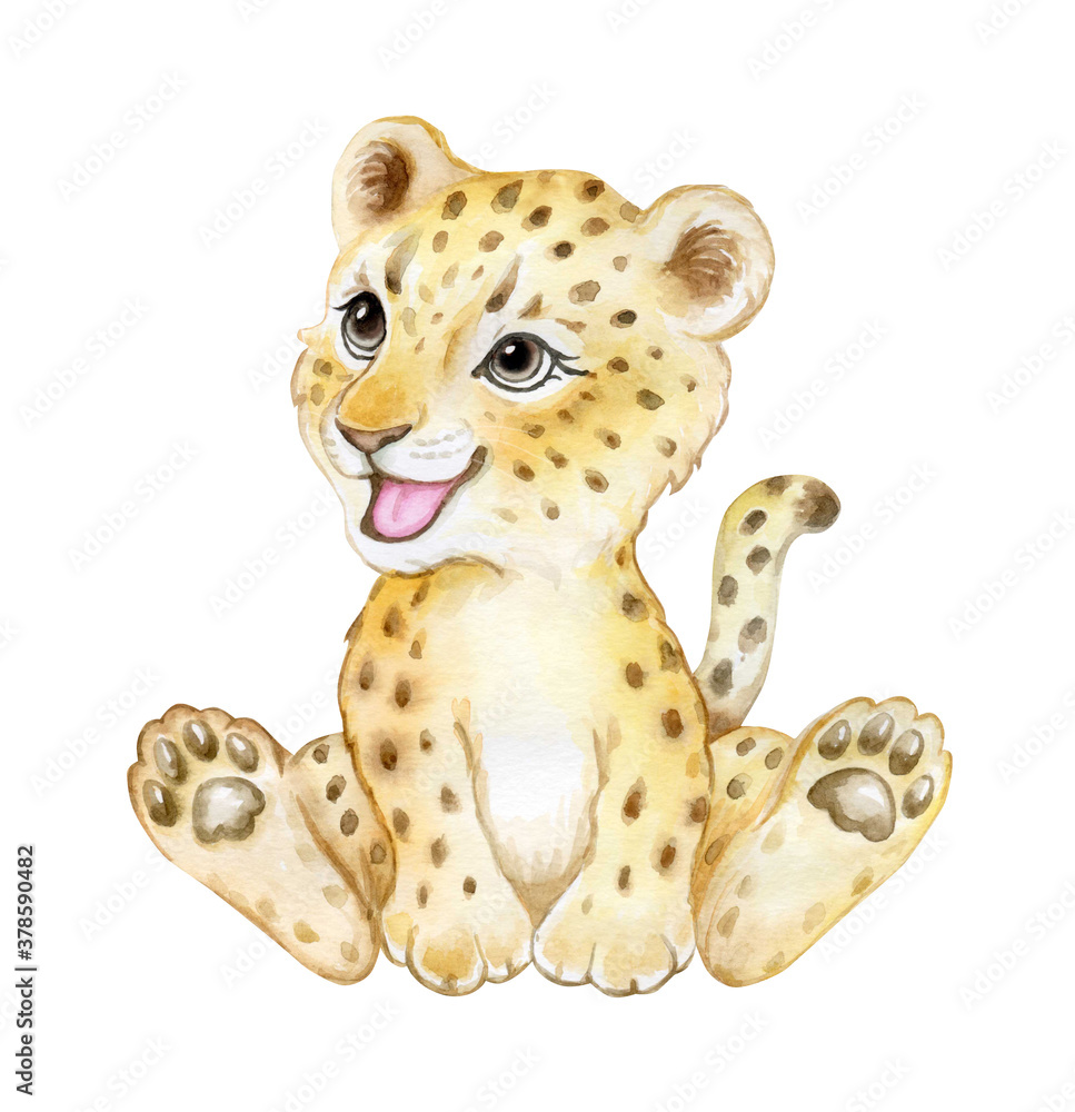 Cute leopard cub isolated on white background. leopard baby. African ...