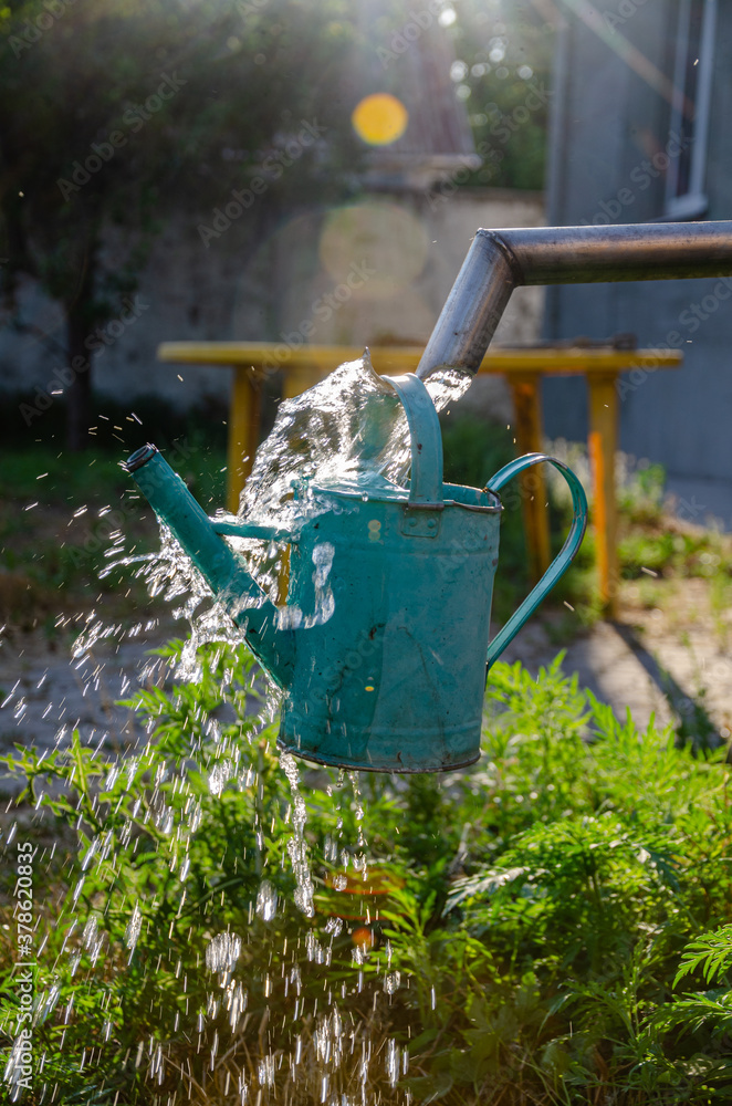 Pouring water into an old garden watering can from a garden column ...