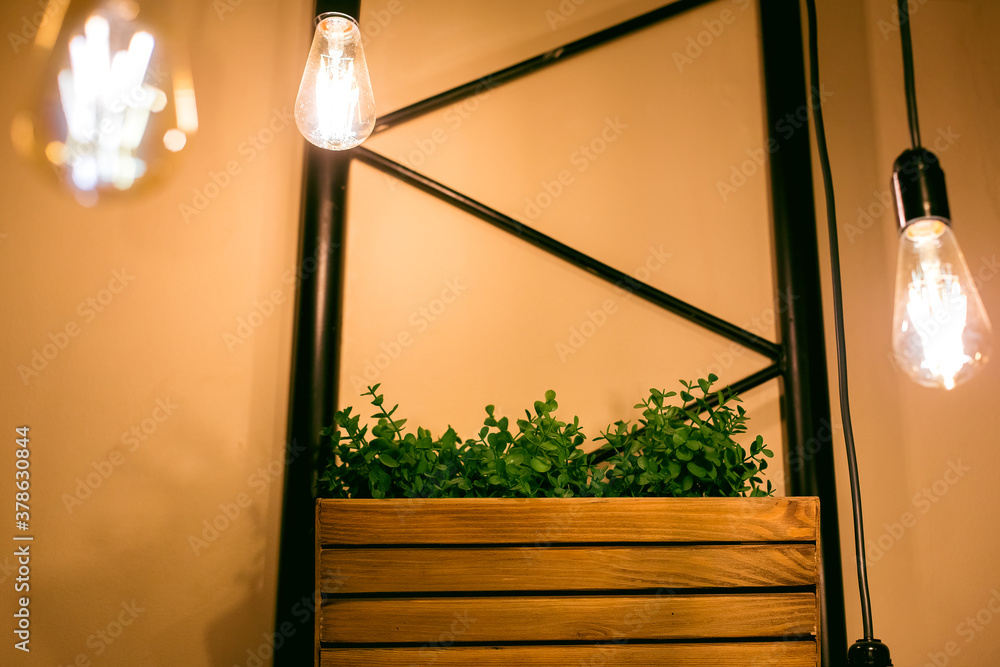 pendant edison bulbs in a cafe with wooden pots with green plants, eco ...