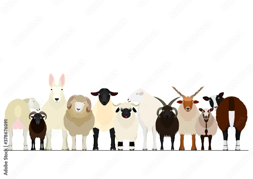 various sheep group Stock Vector | Adobe Stock