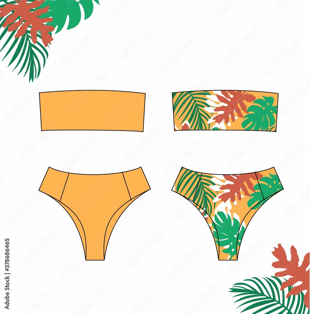 vector illustration of women's bikini,Stylish swimwear design, women ...