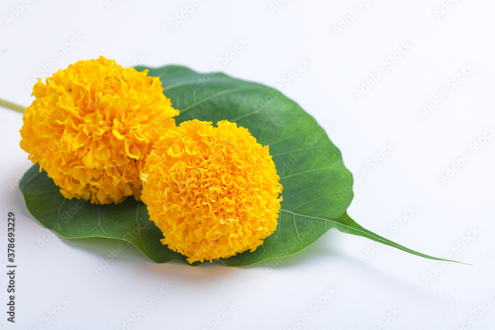 Marigold Flower rangoli Design for Diwali Festival , Indian Festival ...