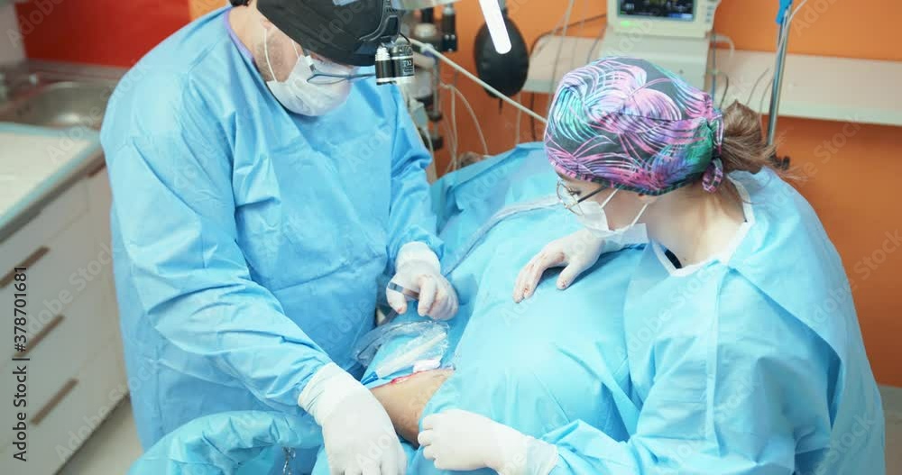 Top camera shot. Male veterinarian, in glasses, white gloves, cap and ...