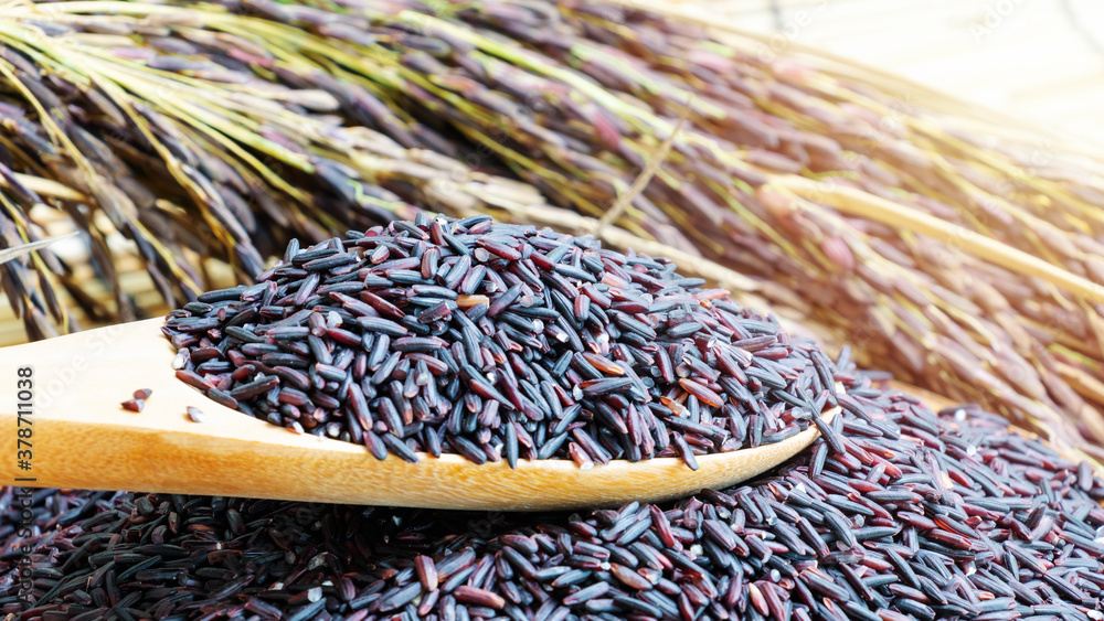 Thai riceberry with wooden spoon and background is riceberry rice on ...