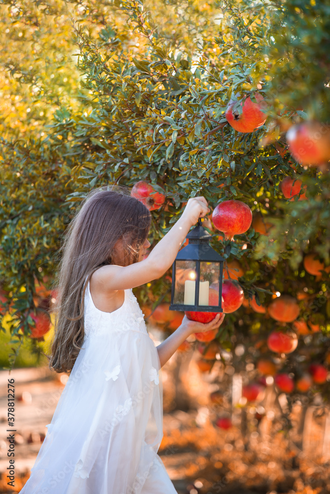 Little girl at white dress at pomegranate garden. Rosh HaShanah Stock ...