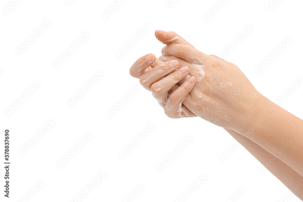 Lathering hands, process. Hands washing gesture, soapy female hand foam ...