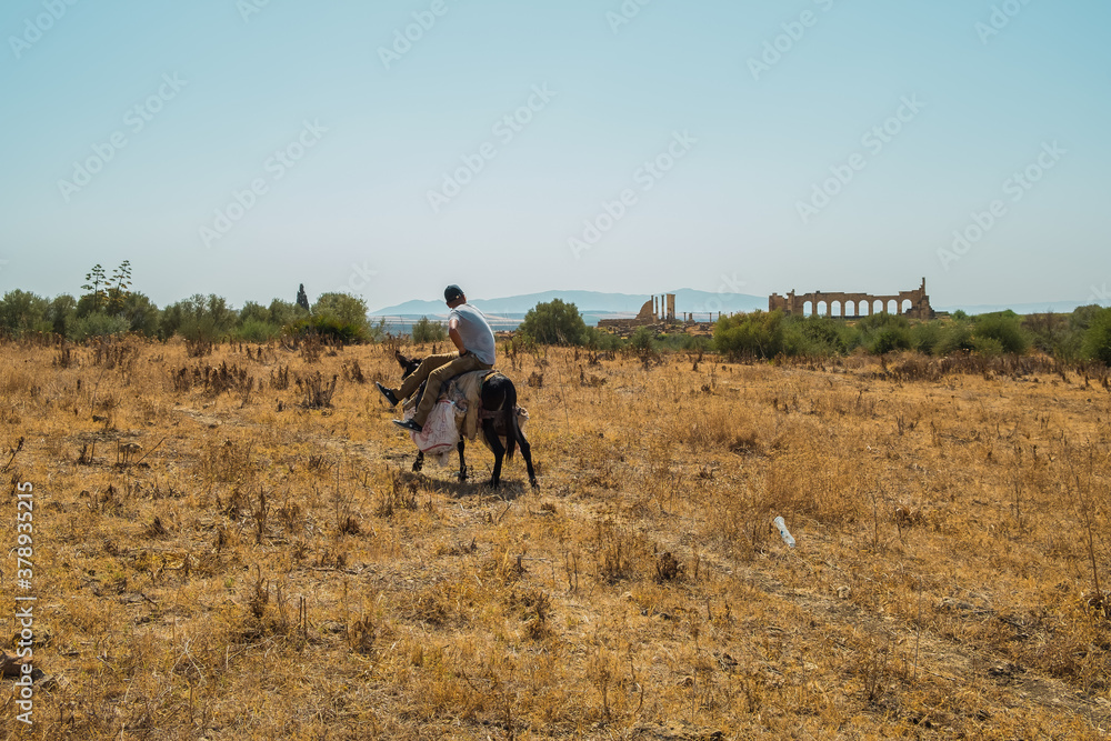 Chico subido en un burro andando por un campo, Marruecos Stock Photo ...