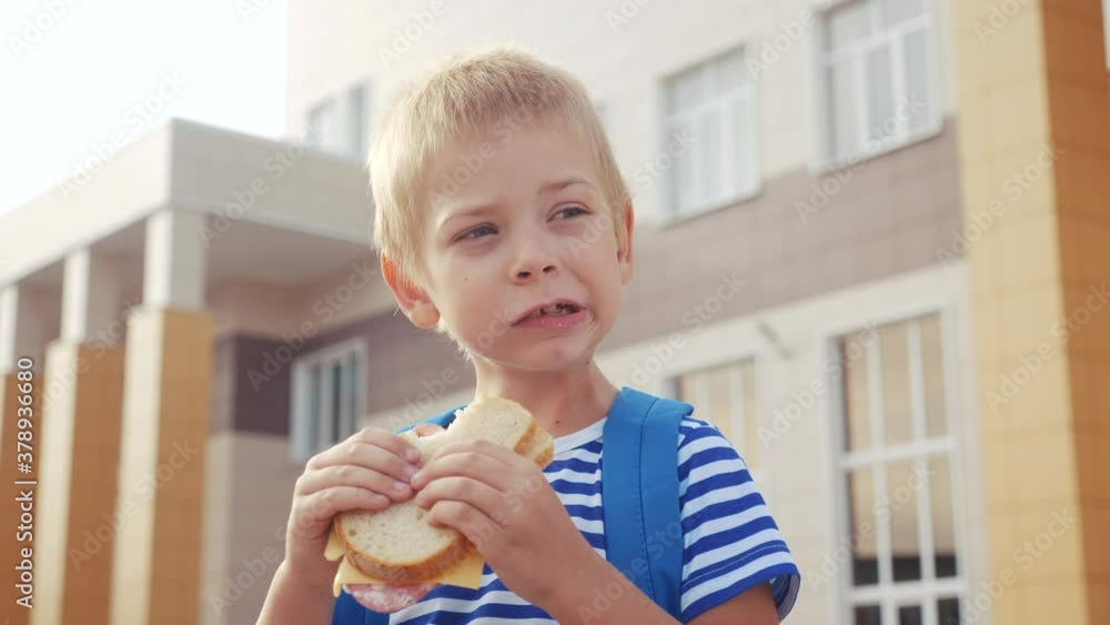 schoolboy eating a sandwich during recess in school. kids education ...