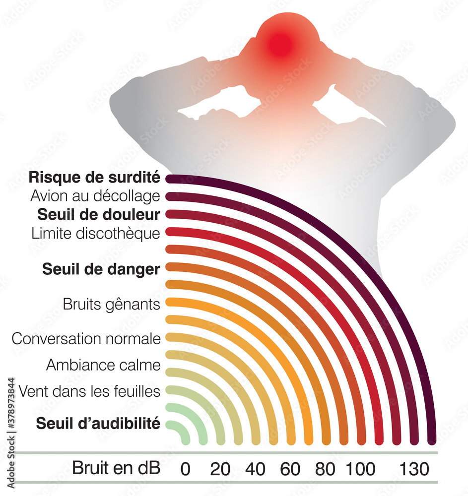 Poster Bruit - Échelle des niveaux de bruit – Wall Art | UkPosters