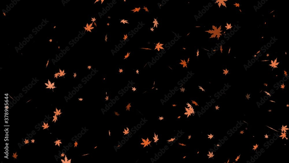 Leaf fall animation with wind. Autumn maple, leaves falling on black ...