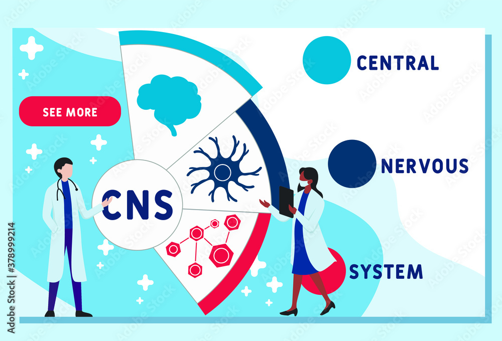Vector website design template . CNS - Central Nervous System, acronym ...