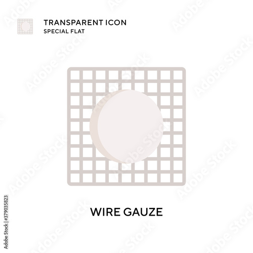 Wire Gauze Drawing